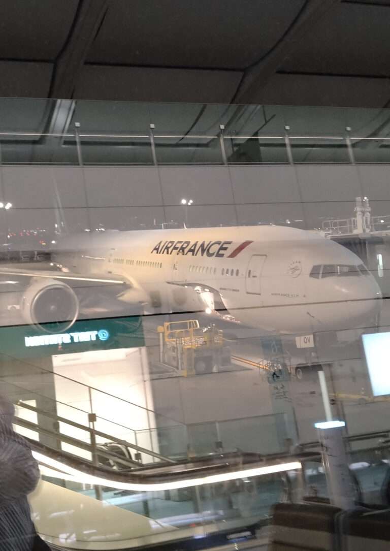 【AIR FRANCE】東京・羽田（夜）発 ⇒ パリ行き～AF293便～ | きのこのファッション＆パリBLOG